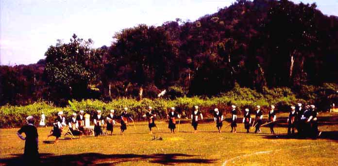 View Birds Photo Gallery